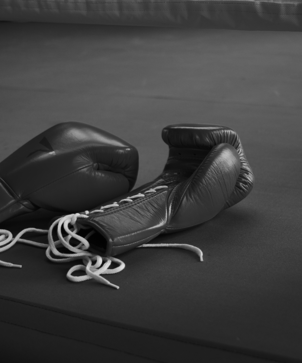 Phenom Boxing - Professional Boxing and Coaching Gear – PHENOM BOXING